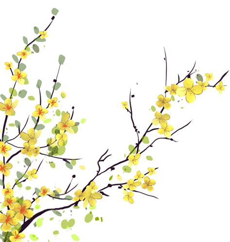 中秋 桂花
