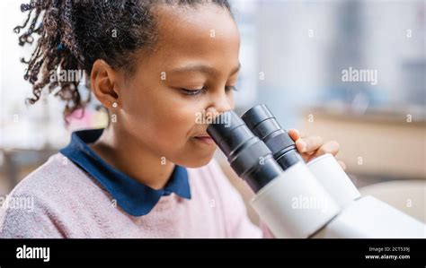 Portrait Of Smart Little Schoolgirl Looking Under The Microscope In Elementary School Classroom