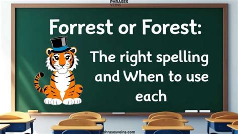 Forrest Or Forest The Right Spelling And When To Use Each