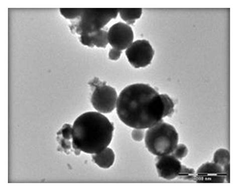 Tem Image Of A Raw Fly Ash And B Kf Al2o3 Fly Ash⁶⁷³ Catalyst