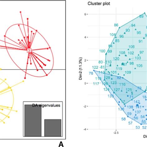 Dapc Plot A And K Means Clustering Plot B Placing Mandarin Download Scientific Diagram
