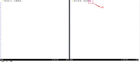 Linux文件实现垂直分屏、水平分屏（图文并茂版）linux竖分屏命令 Csdn博客