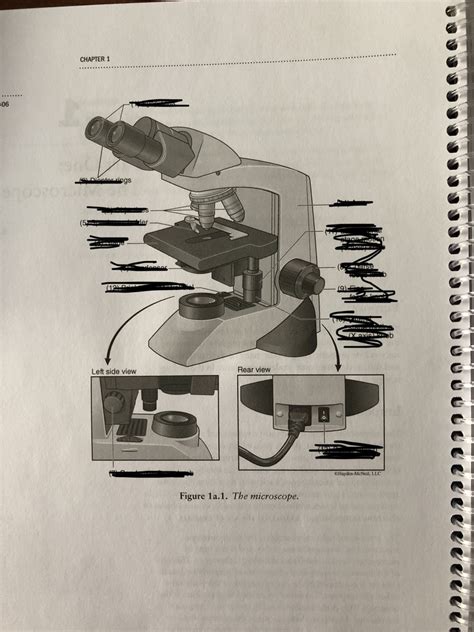 Bio Lab Practical Diagram Quizlet