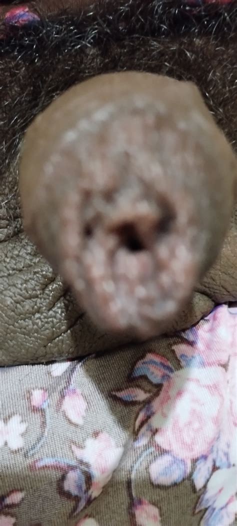 Dick Selfies 10 Pics Xhamster