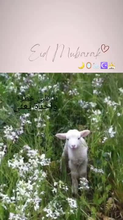 Bisma Abbasi Posted On Linkedin