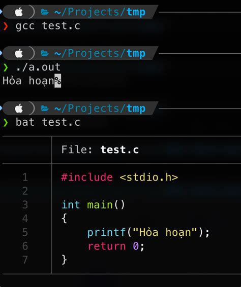Xuất Chữ Tiếng Việt Có Dấu Trên Màn Hình Console Bằng Ngôn Ngữ C