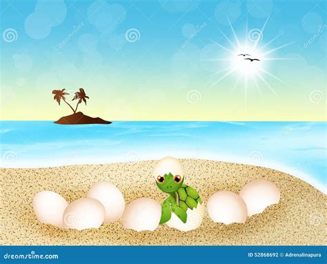 Sea Turtle Lays Eggs On The Beach Stock Illustration Illustration Of