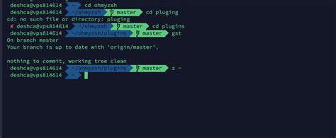 Set Up Zsh Autosuggestion And Syntax Highlight On A Ubuntu Server