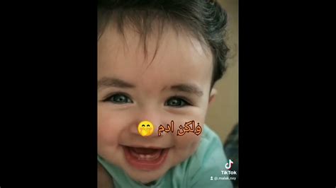 بيبيادم الرئيسي Youtube