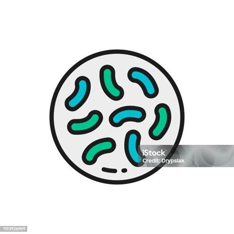 프로바이오틱스 락토바실리 비피도박테리아 플랫 컬러 라인 아이콘 흰색 배경에 격리 건강관리와 의술에 대한 스톡 벡터 아트 및 기타