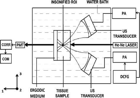 Schematics Of The Experimental Setup The Ergodic Mediumobject Slab