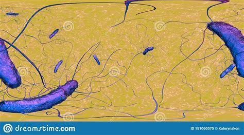 Clostridium Difficile Bacteria 360 Degree Spherical Panorama View Stock Illustration