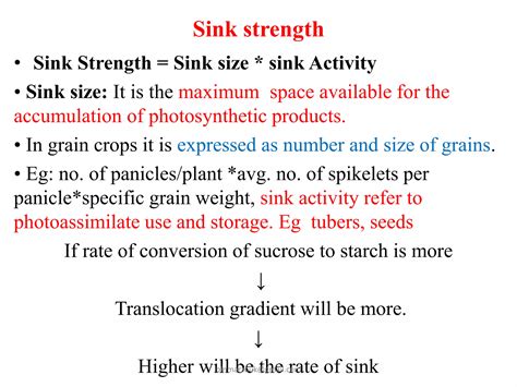 source sink relationship pptx gardening home and garden