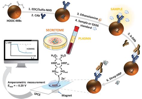 Scheme Displaying The Experimental Procedure Followed For Preparing The Download Scientific