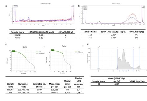 Extraction Of Nuclei From Archived Post Mortem Tissues For Single