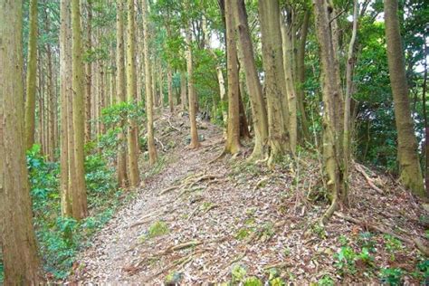 大人もお城がっこう 歴史編 第13回 南北朝時代の山城 2 城びと
