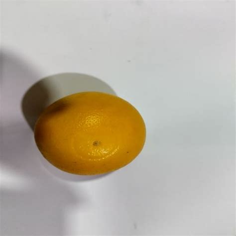 Fruit Classfication Roboflow Universe