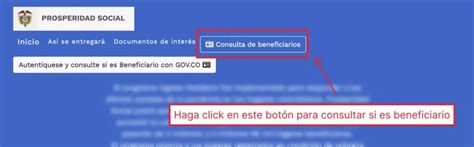 Consultar Ingreso Solidario Guía Completa 2025 Sede Virtual
