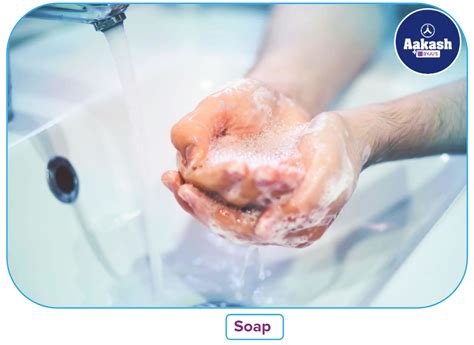 Difference Between Alkali And Base In Chemistry Definition Types And Importance AESL