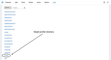 profiling — ray 2 48 0
