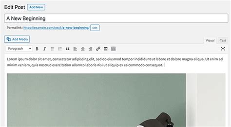 How To Fix Wordpress Updating Failed Publishing Failed Error