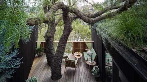 Alexander Symes Arranges Pepper Tree Passive House Around Tree