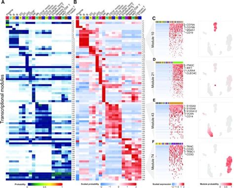 celda a bayesian model to perform co clustering of genes into modules