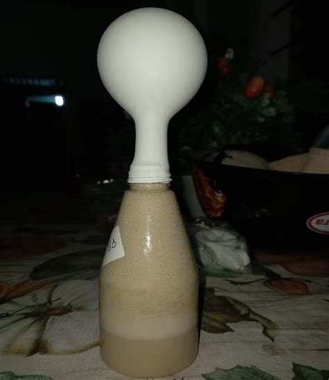 Fermentation Of Glucose By Yeast Lab Explained Schoolworkhelper