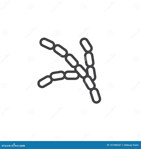 Streptococcus Bacteria Line Icon Stock Vector Illustration Of Biology