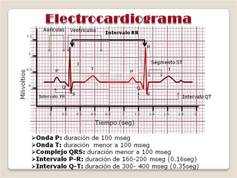 Fisiología De Omar Báez Componentes Del Electrocardiograma