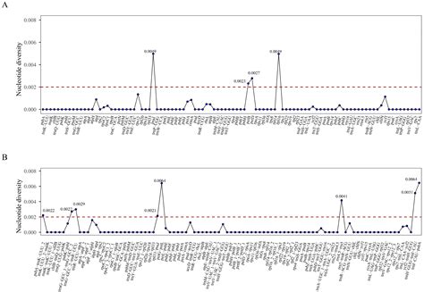 Comparative Chloroplast Genome Analysis In High Yielding Pinus Kesiya Var Langbianensis