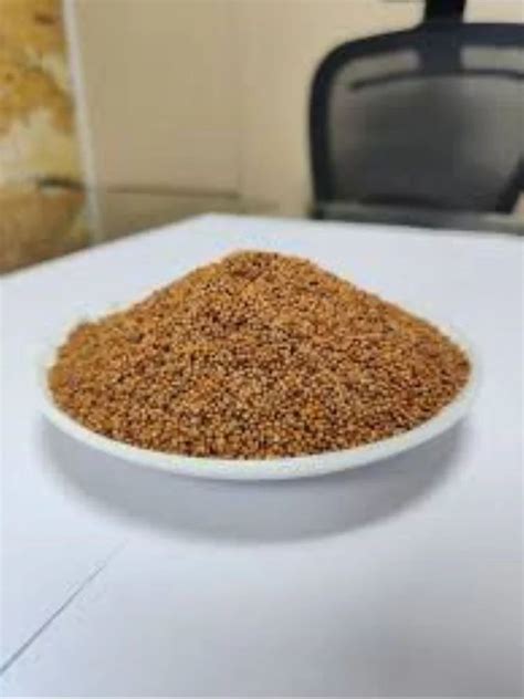 Cassia Tora Seeds At Rs 150kg Herbal Extracts In Surat Id 2850842769855