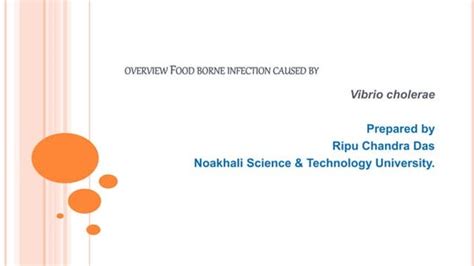 Plasmid Profile Analysis Overview Pptx Genetics Science