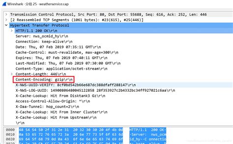 Linux服务器端网络抓包和分析实战linux下做web抓包题 Csdn博客