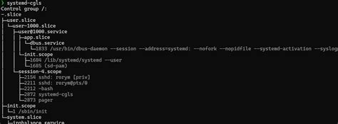 Container Security Fundamentals Part 4 Cgroups Datadog Security Labs