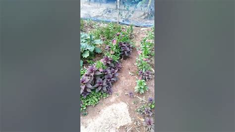 2023 ခုနှစ် ဧပြီလ 21 ရက် Youtube