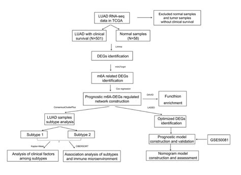 Analytical Flow Chart Download Scientific Diagram