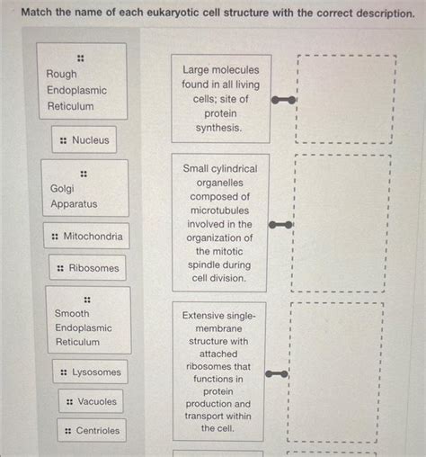 solved match the name of each eukaryotic cell structure with