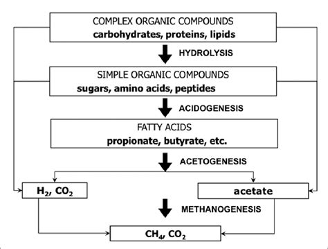 Degradation Steps In Anaerobic Digestion Adapted From Speece 1996