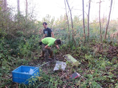Geology Areas Of Interest The Paris Basin Centre De Géosciences