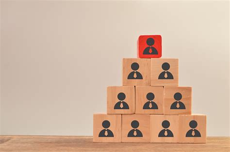 팀 리더 직원 팀워크 및 관리 개념을 선택합니다 사람 아이콘나무 블록 개념에 대한 스톡 사진 및 기타 이미지 개념 개념과 주제 객실 있음 Istock