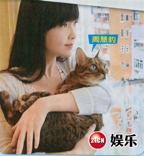 周慧敏爱猫如命 儿子周慧豹离世读经释怀 图 搜狐滚动