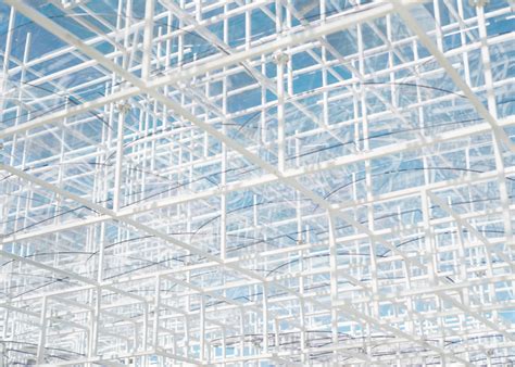 Photos Of The Serpentine Gallery Pavilion 2013 By Sou Fujimoto