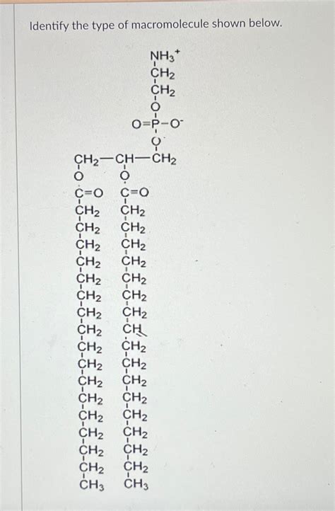 Solved Identify The Type Of Macromolecule Shown Below