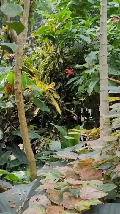 Company Page 4 Qa And Integration Testing On Linkedin Newbeginnings Careermove Linkedinupdate