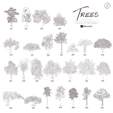 Trees Drawing Stamp Brush Set For Procreate Landscape Tree Series Etsy
