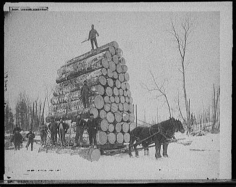 Antique Logging Pictures Arboristsite Com