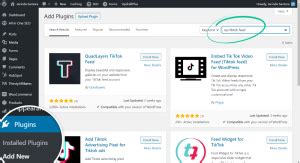 How To Embed TikTok Videos And Video Feeds On Your Website