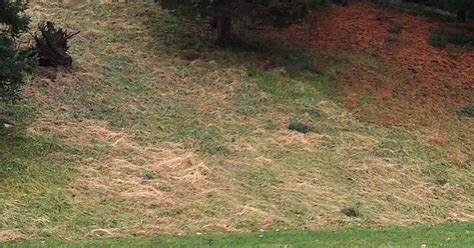 The Showdown Imgur The Showdown Imgur