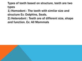 Dentition In Mammals Pptx